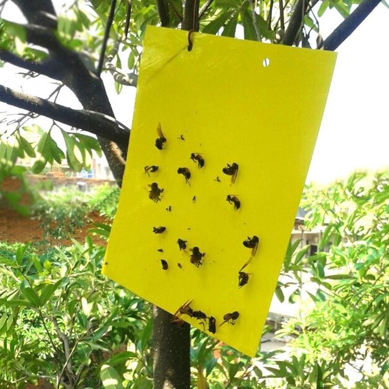 Buy 2PCS/5PCS Large Area Hanging Sticky Glue Boards for Fly Pest Insect ...