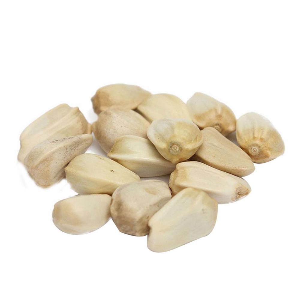 10Pcs Rare Female Shape Ginseng Pepino Seeds Fruit Seed Gardening ...