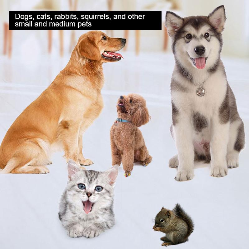 Satın alın Pet Automatic Nail Sharpener Cat Dog Manicure Cleaning Claw ...