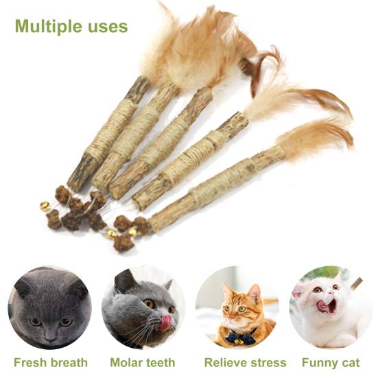 Buy 5Pcs Practical Healthy Teeth Grinding Fine Workmanship Teeth Clean ...