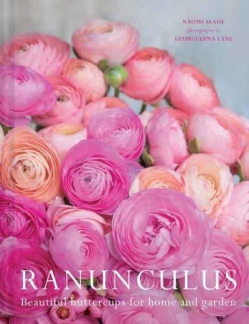 Cheap Ranuculus : Beautiful Varieties For Home And Garden | Joom