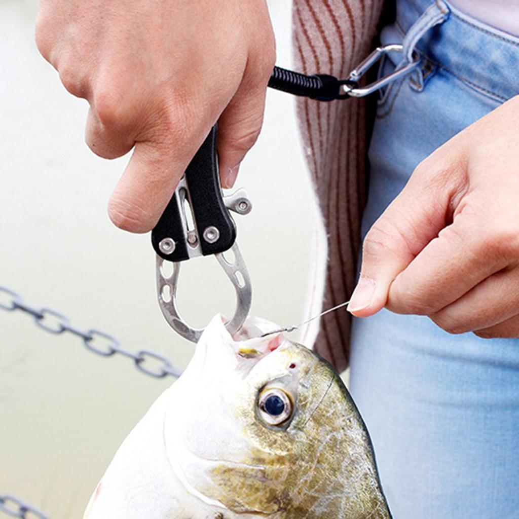 Buy Fishing Grip Pliers Stainless Steel Fish Lip Gripper Fish Grip Tool ...