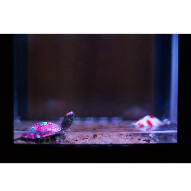 Buy Stacking Fish Bowl Aquarium Green Plants Micro Landscape Seaweed ...