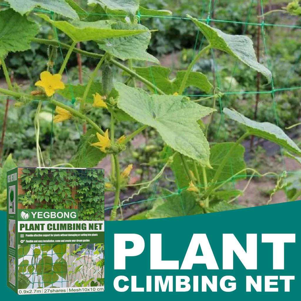 Buy (Sevenday)Garden Plant Climbing Vine Net Plant Trellis-Netting ...