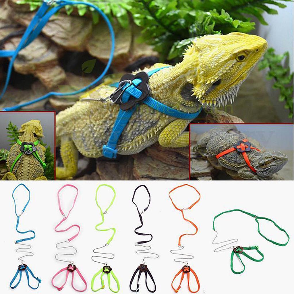 Buy Adjustable Reptile Lizard Harness Leash Rope Light Soft Antibite ...