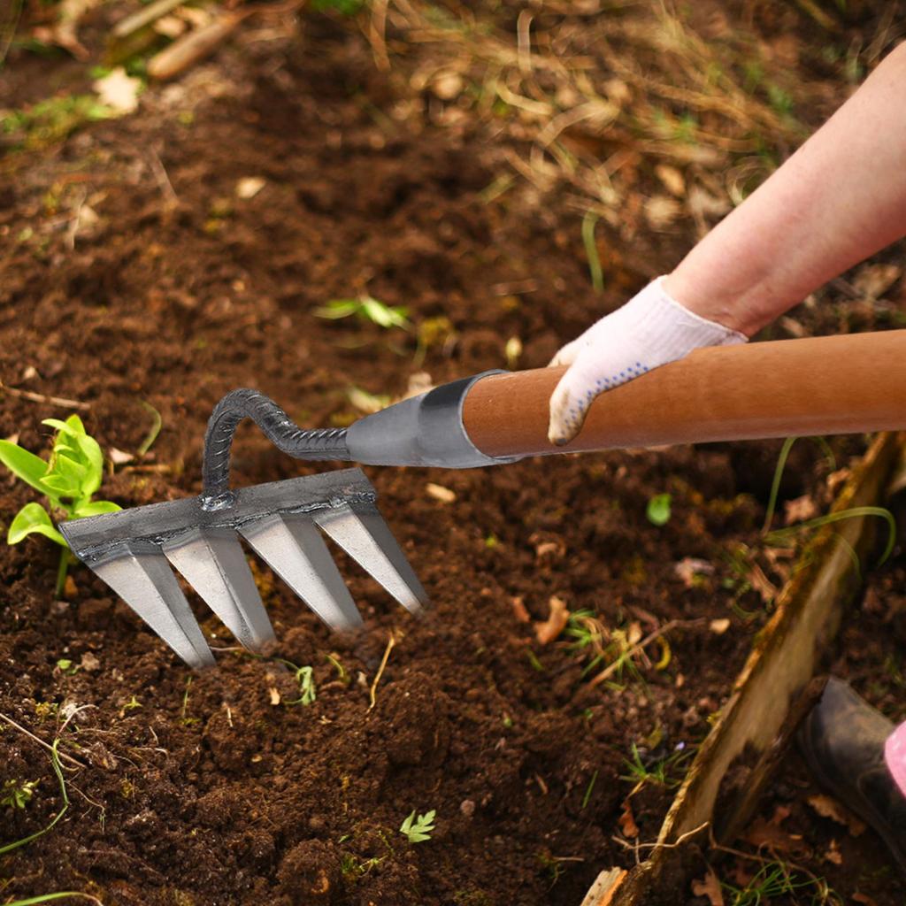 Buy Dethatcher Rake | Carbon Steel Garden Hand Rake | Metal Heavy Duty ...