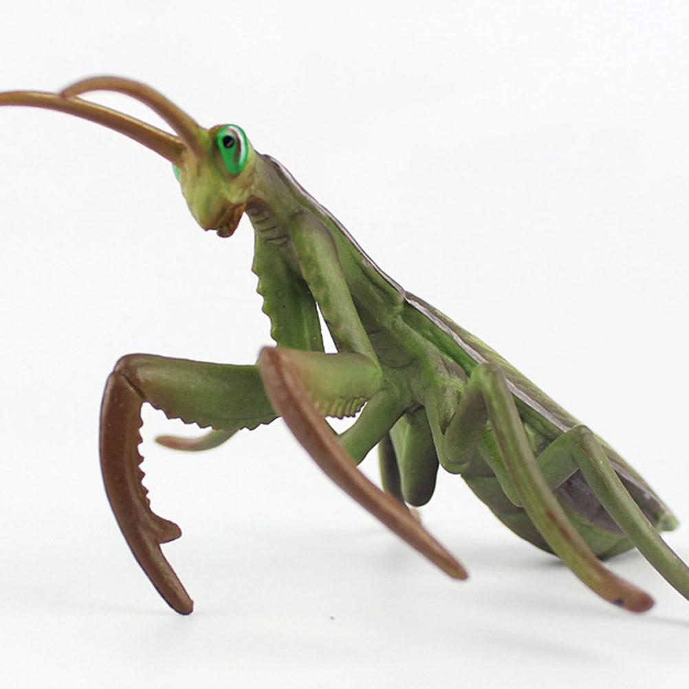 Buy 2 Pcs Simulation Mantis Figurine Insect Model Toy Creative Desktop ...