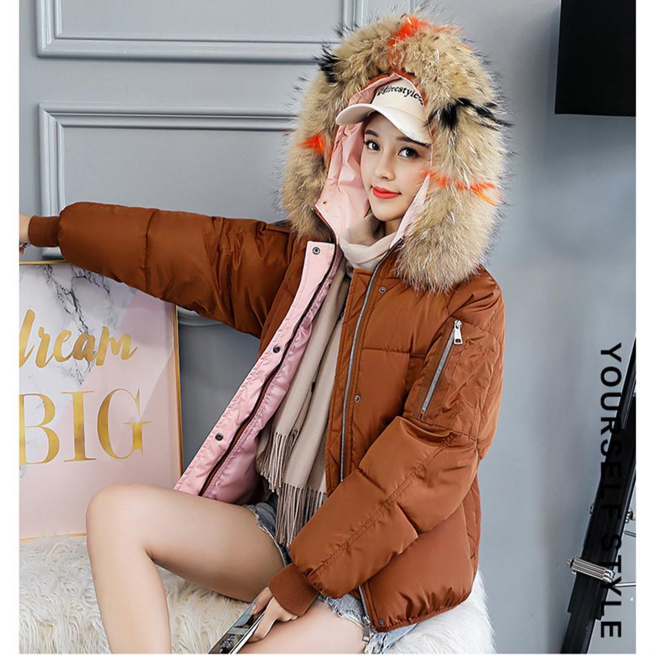 Buy Big Fur Collar Hooded Parkas for Women Winter Jacket Women Thicken Winter Coat Long Sleeve ...