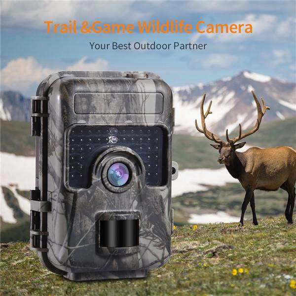 Buy 16MP 1080P Night Vision Wild Hunting Camera Trail Camera Wildlife ...