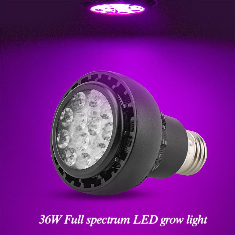 Buy 85-265V E27 36W Full Spectrum Pink Purple LED Plant Fill Light at ...