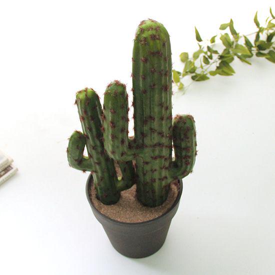 Buy River Green Interior Cactus Pot Set at affordable prices — free ...