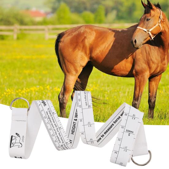 Cheap Delicate Easy to Use Farm Tool Long Lasting Horse Ruler Chest ...