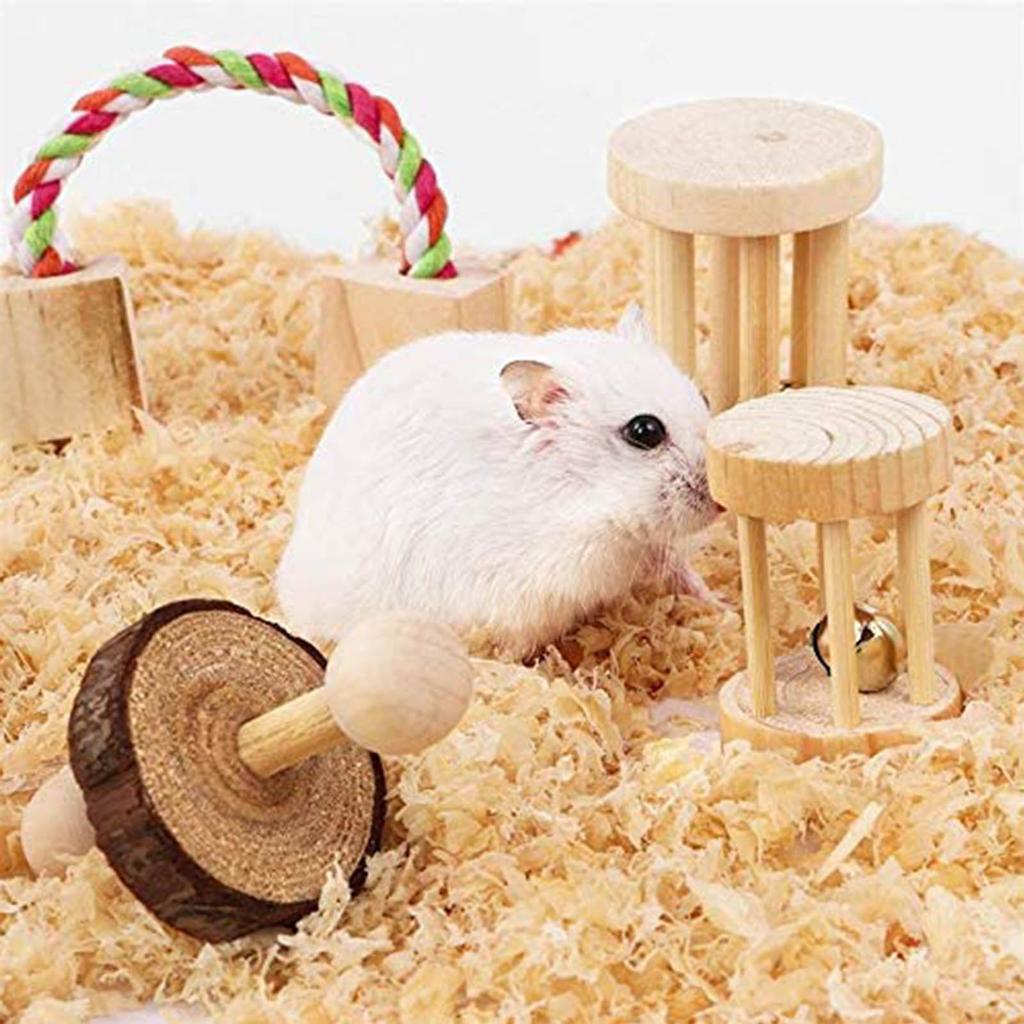 Buy Dental Care Molar Toys Health Hamster Chewing Tools Set at ...
