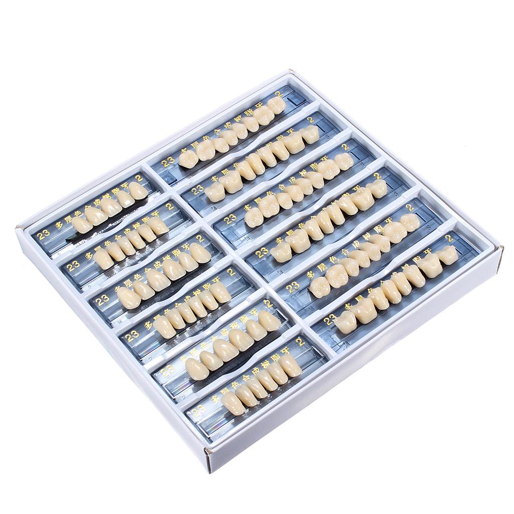 Lot X 3 Full Set Dental Acrylic Teeth ACRY ROCK RUTHINIUM Shade A2 Size ...