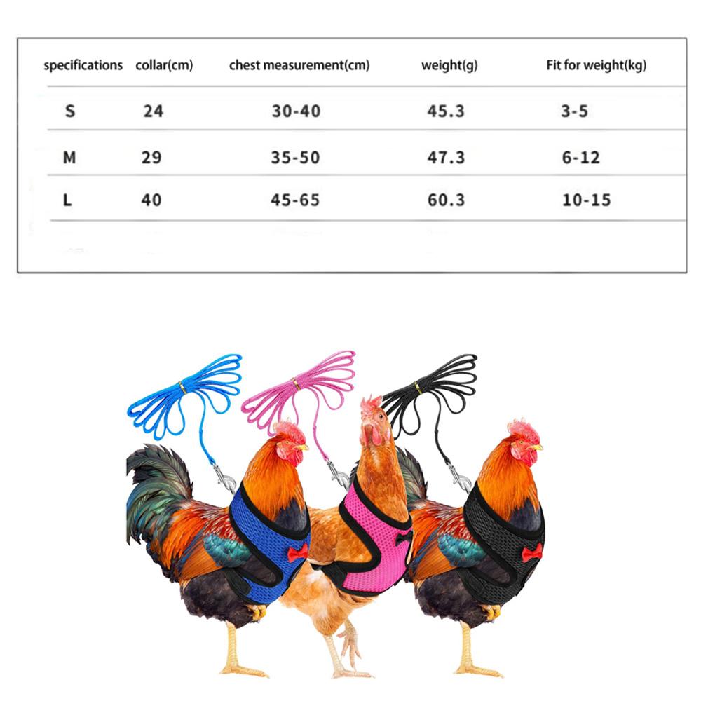 Buy Best Gift Nylon Poultry Supplies Duck Goose Chicken Vest Harness ...