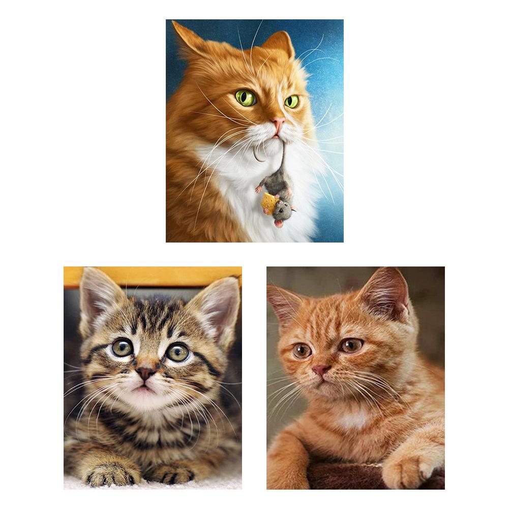 Buy 5D Diamond Painting Kit Cute Cat Full Square Drill Rhinestone DIY ...