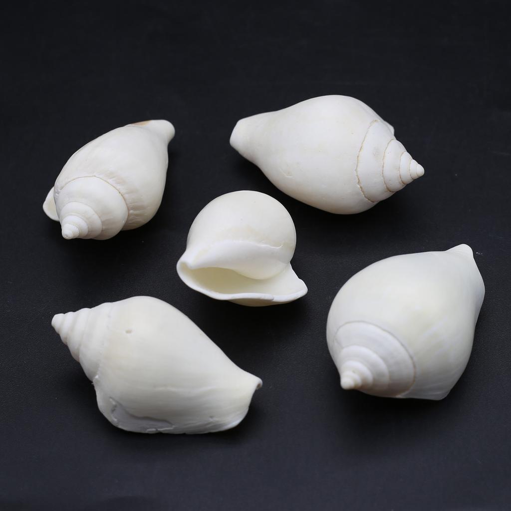 Cheap 200G DIY Shell Beads White Snail Shell Bead Without Hole Bathtub ...