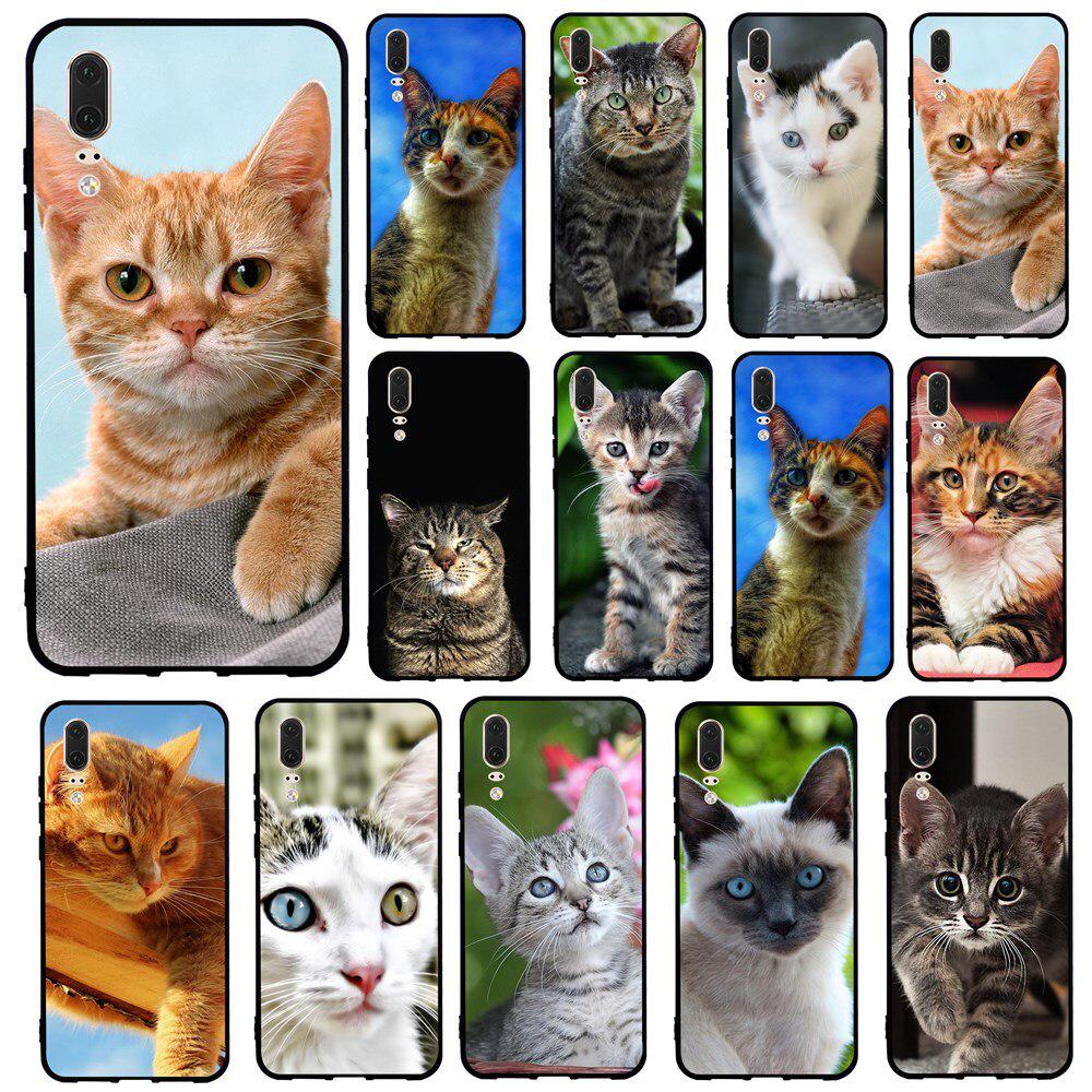 Buy Cat Phone Case for Huawei Y6 2018 6A 7A 8 9 10 Lite 20 9X Pro Y7 Y9 ...