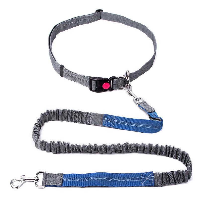 Buy 1 Pcs Dog Leash Hands-Free Handle Elastic Dog Leash Reflective ...