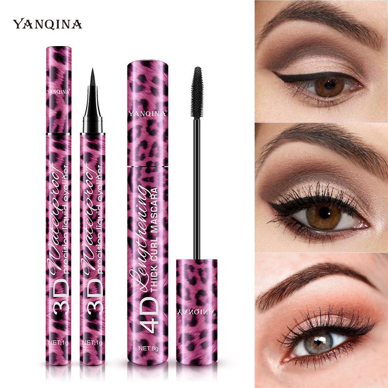Buy Leopard Eye Makeup Set Eyeliner & Mascara 2-in-1 Set Mascara ...