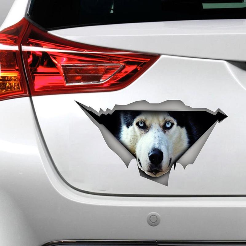 Buy 3D Funny Pug Dog Watch Snail PVC Car Window Decal Waterproof Home ...