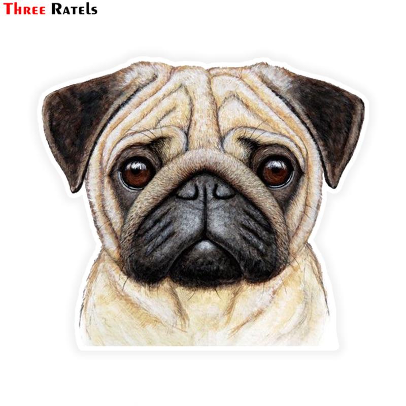 Buy LCS300# 13x11.5cm Pug Colorful Car Sticker Funny Car Stickers ...