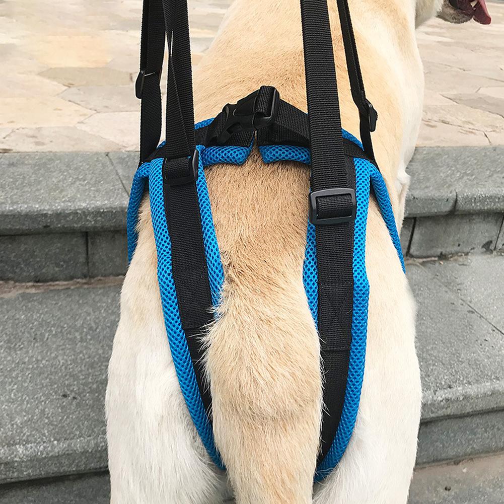 Pet Dog Auxiliary Belt Old Dogs Balance Support Belt Dog Support ...