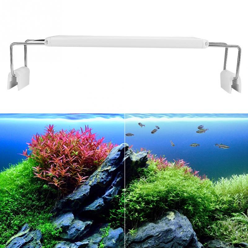 Buy EU Plug 200-240V 5W Highlight LED Light Lamp with Bracket for ...