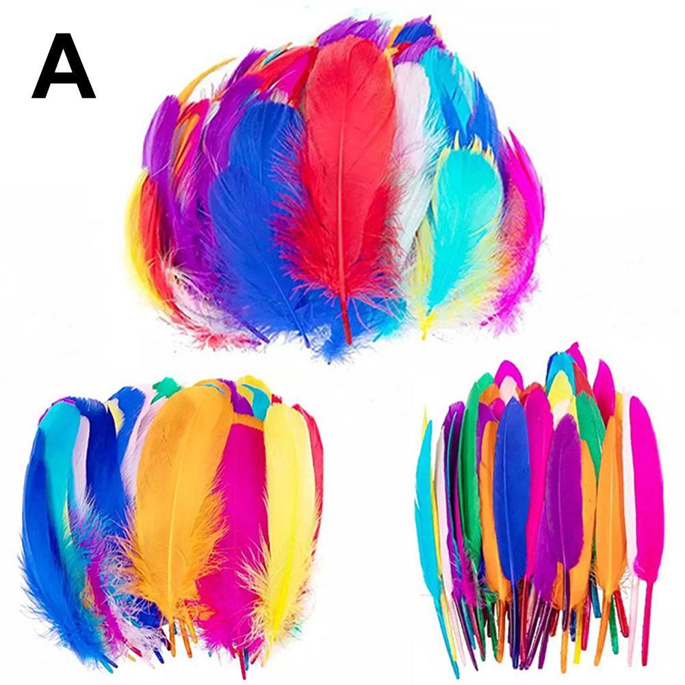 Buy 100Pcs Color Feather and Goose Feather Assembly Matching Feather ...