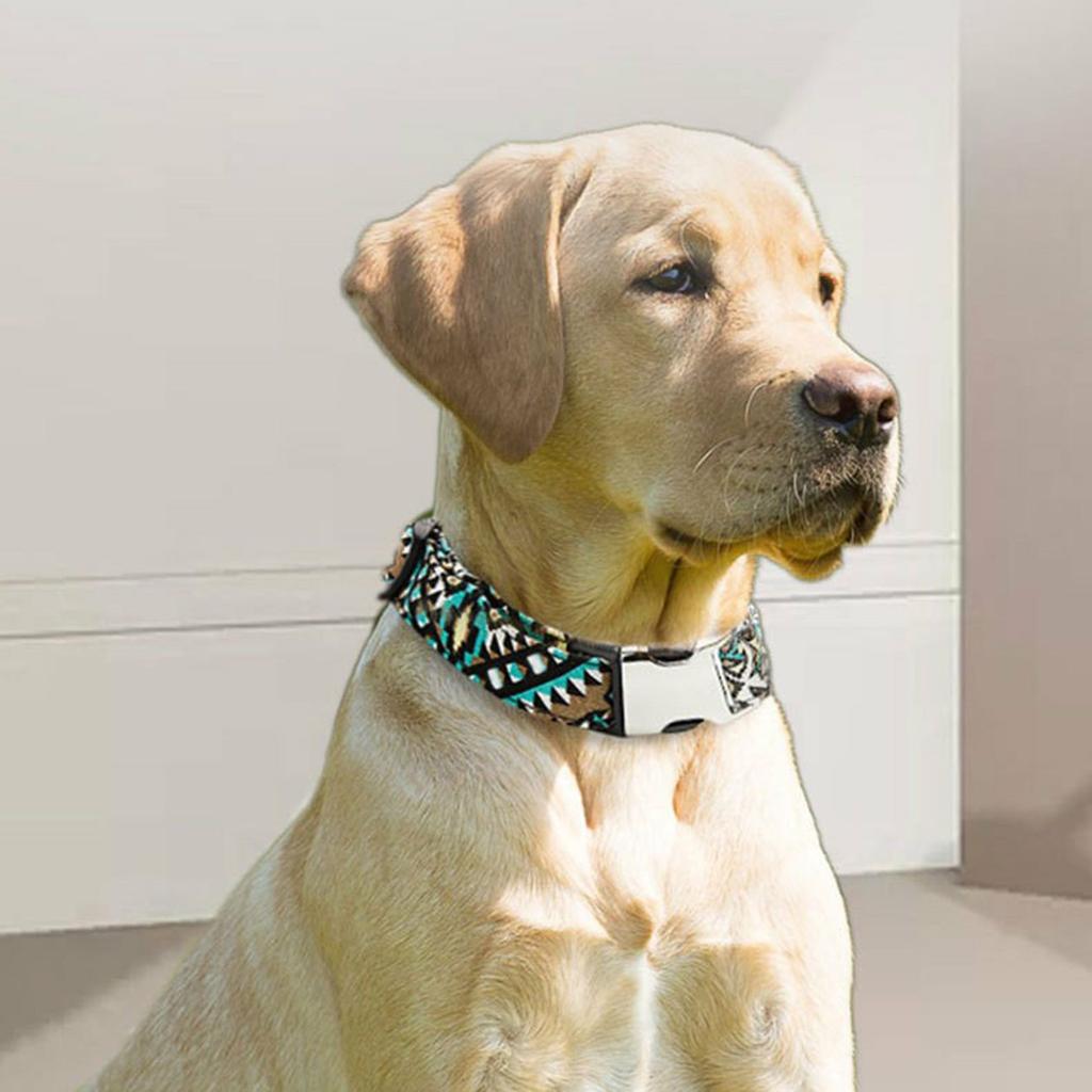 Buy AA BB Dog Collar Engraved ID Tag Nameplate Reflective Metal Buckle ...