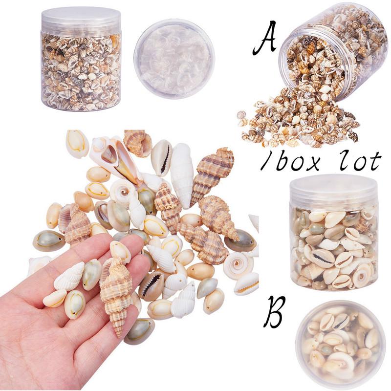 Buy 1 Box Natural Shell Conch Ornaments Accessories Parts Diy Material ...
