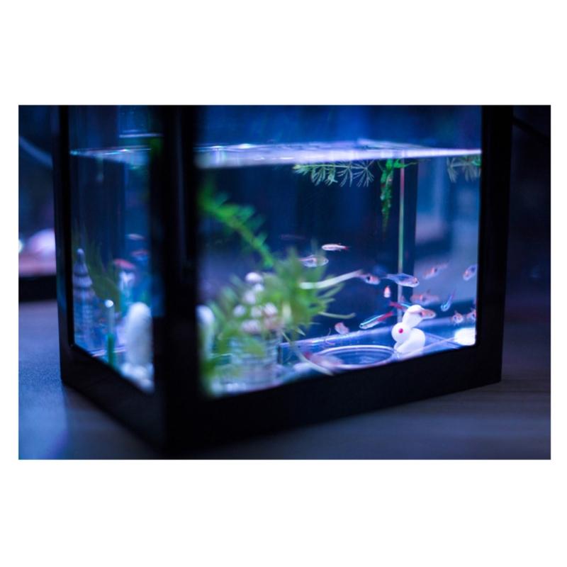 Buy Small Betta Fish Tank Plastic Fish Bowls Single Fish Aquariums ...