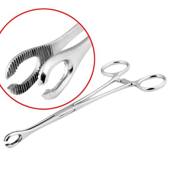Buy PRO Sponge Clamp-Slotted Forceps Septum 316L Surgical Body Piercing ...