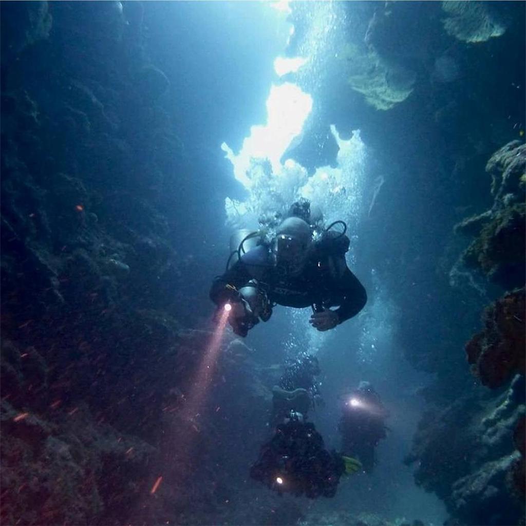 ORCATORCH D550 Waterproof Diving Flashlight 970 Lumens XM-L2 U4 LED ...