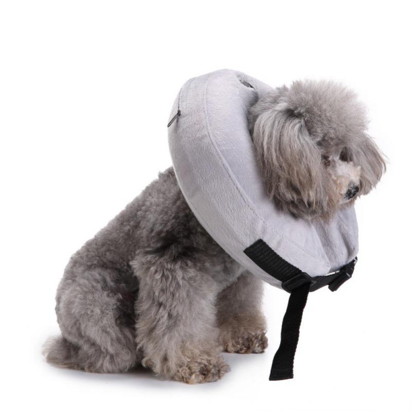 Buy Dog Cat Puppy Grooming Protection Inflatable Pet Protect Collar Dog ...