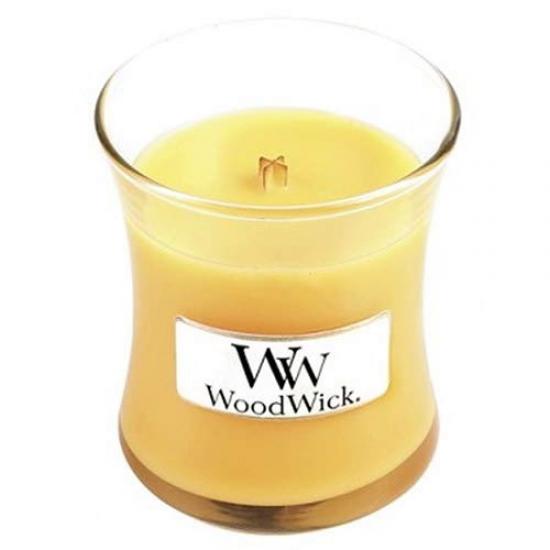 Buy Woodwick Seaside Mimosa Small Potted Candle 5038581056630 at ...