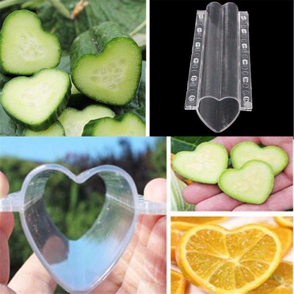 Buy Cucumber Mold Vegetable Shaping Forming Mould Tool Growth at ...