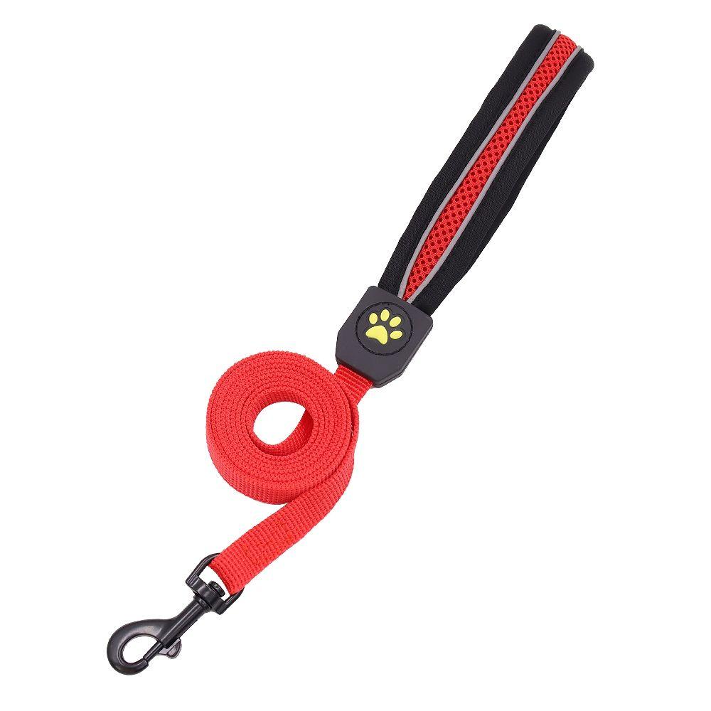 Buy Buckle Puppy Neck Strap Training Walking Dog Leads Pet Supplies Pet ...