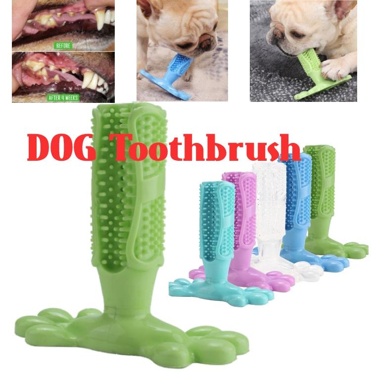 Buy New 5 Colors Dog Toothbrush Chew Toys Dog Dental Care Brushing ...