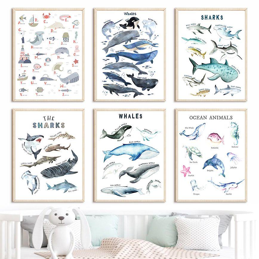 Satın alın Ocean Animals Whales Shark Fish Nordic Education Posters And ...