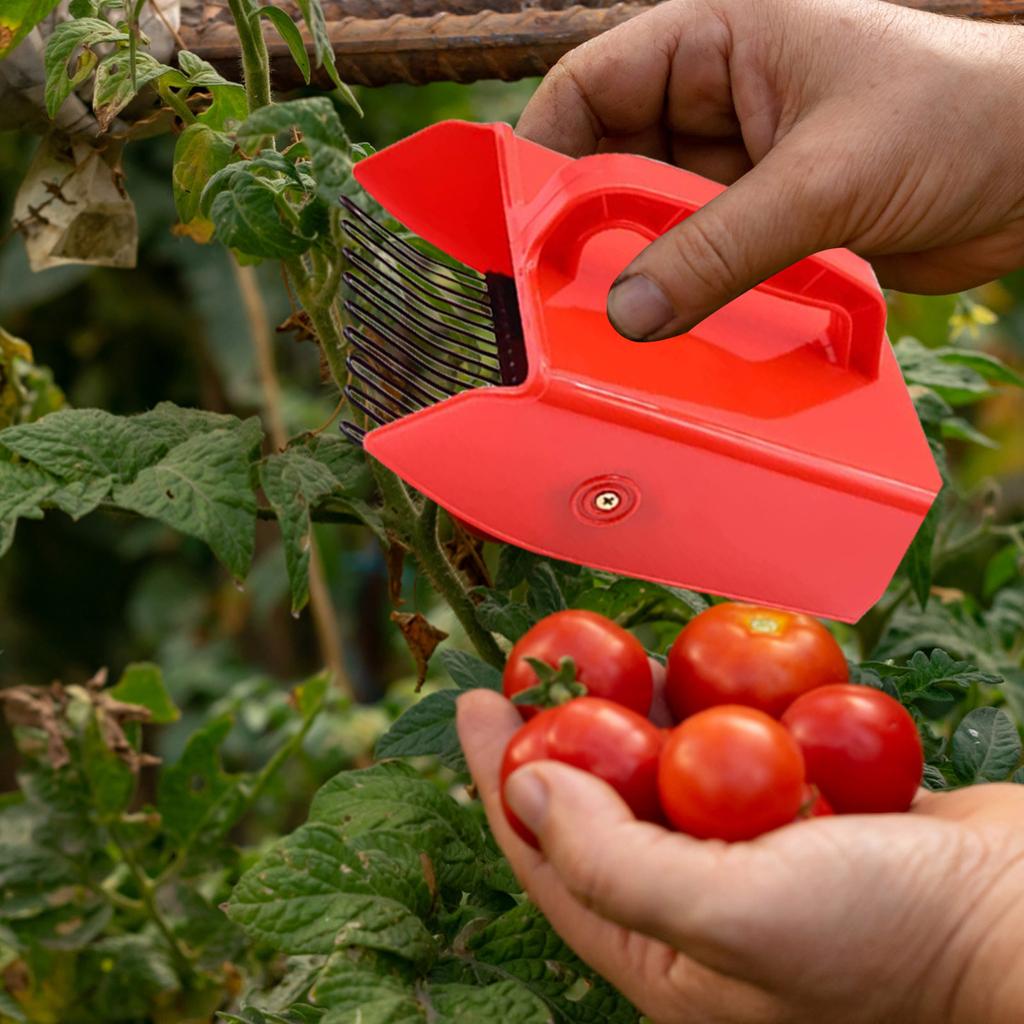 Cheap Berry Collector Collector Scoop Fruit Rake Harvester With Comb