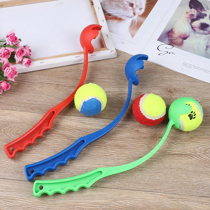 Buy Dog Throwing Ball Pet Dog Toy Interactive Catch Toy Dog Pet Shop ...