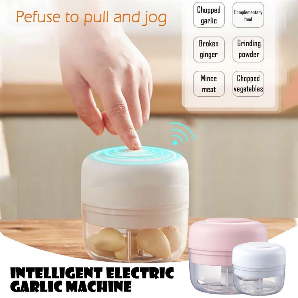 Buy Mini Garlic Vegetable Grinder Electric Grinder Press Rechargeable ...