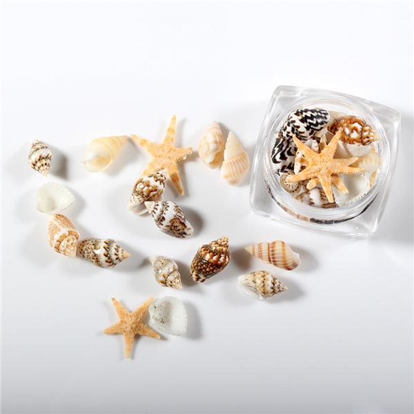 Buy 1 Box Nail Decorations DIY Mini 3D Conch Sea Beach Shells Ocean ...