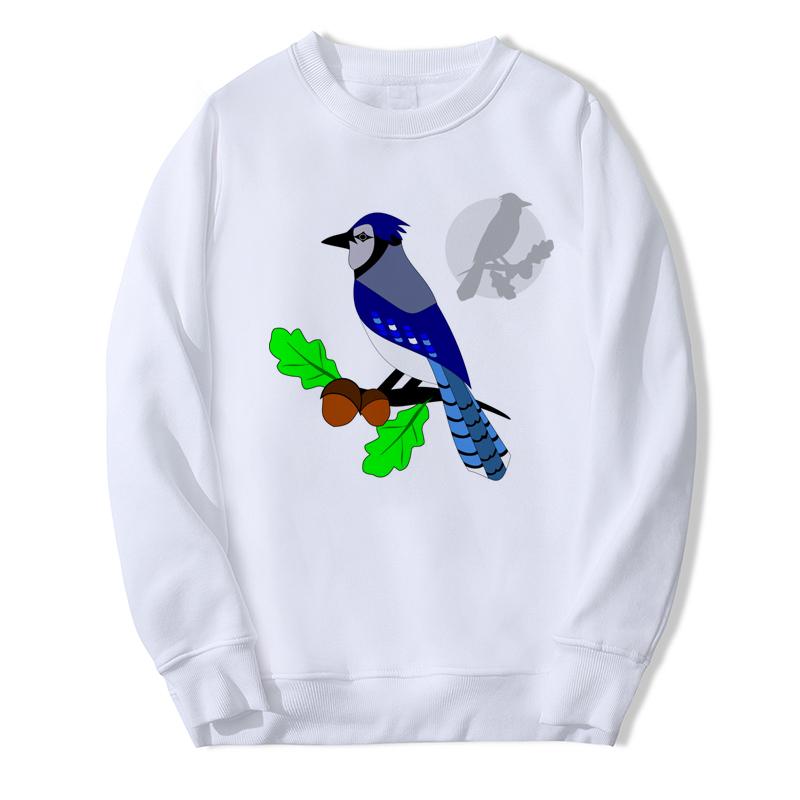 Buy Sweater Harajuku Crew Neck Sweatshirt Cute Blue Jay Bird Print ...