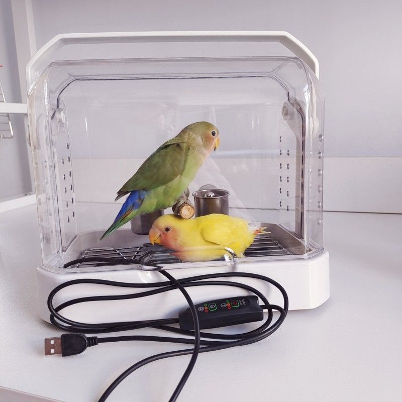 Buy Parrot Incubator Temperature-Controlled Hand-Reared Young Birds ...