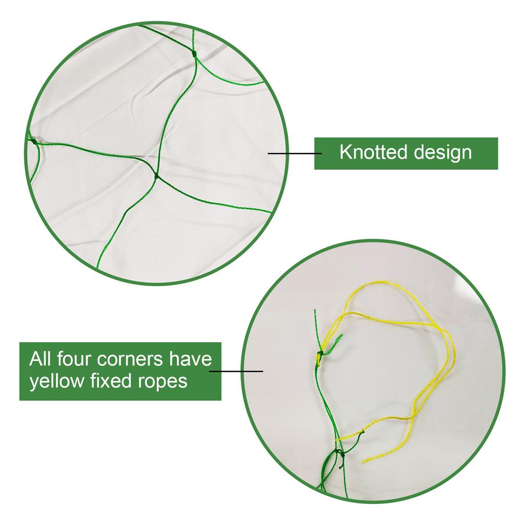 Buy (Sevenday)Garden Plant Climbing Vine Net Plant Trellis-Netting ...