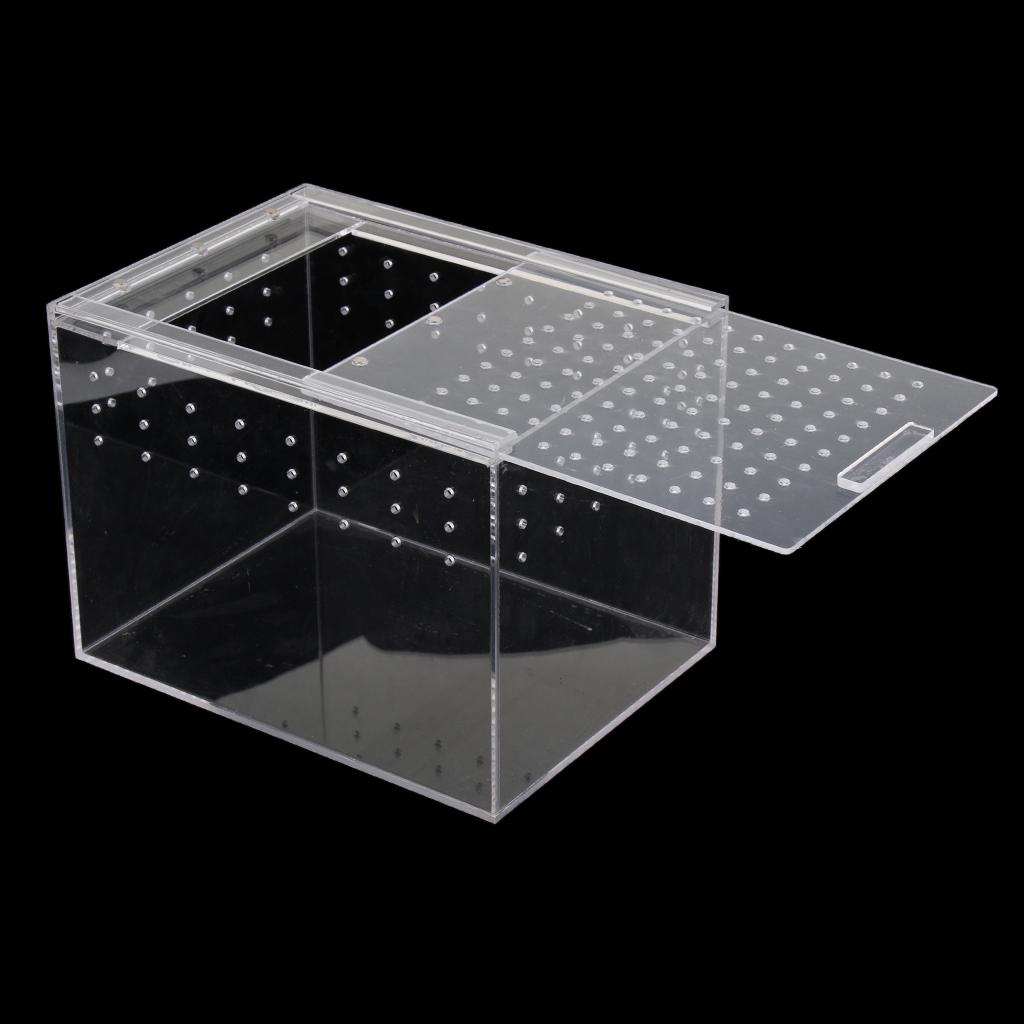 Buy Clear Acrylic Terrarium Box Reptile & Amphibian Lizard Turtle ...
