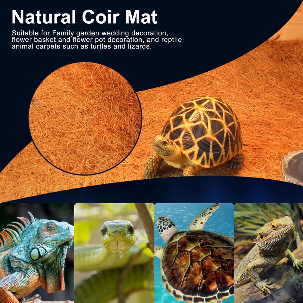 Buy Reptile Carpet Mat Coconut Fiber - Lizard Cage Mat for Tortoises ...
