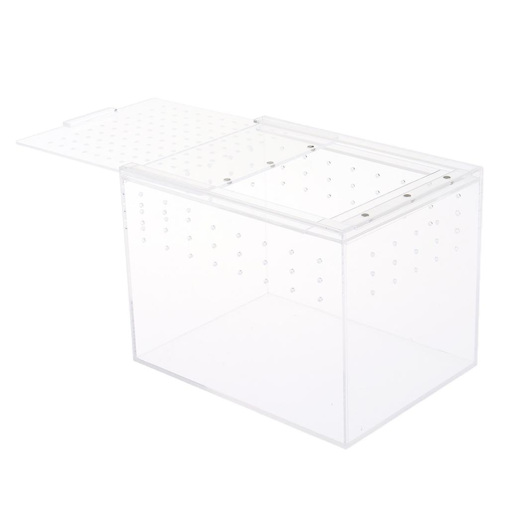 Buy Clear Acrylic Terrarium Box Reptile & Amphibian Lizard Turtle ...